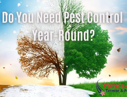 Savannah Pest Control | Yates-Astro Termite & Pest Control